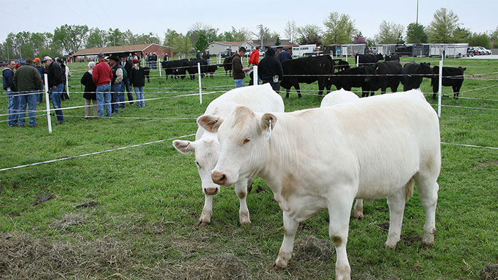 Minors - Darr College of Agriculture - Missouri State